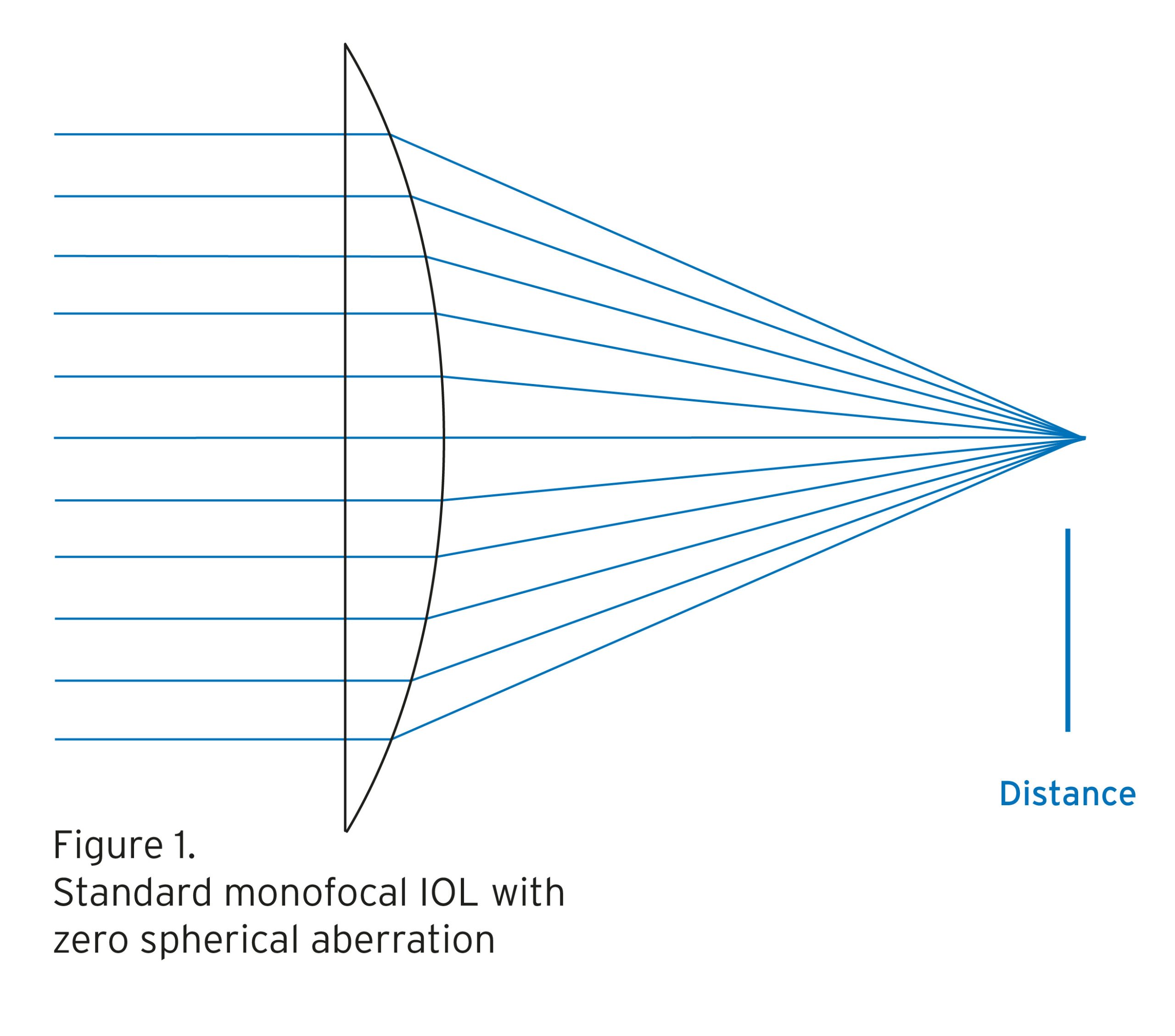 RayOne EMV - Rayner : USA