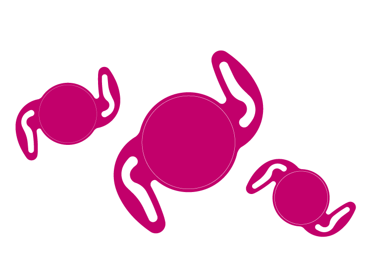 RayOne EMV - Rayner : USA