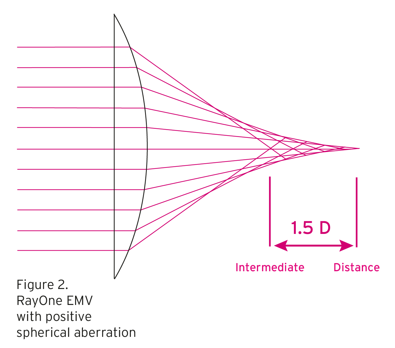 RayOne EMV - Rayner : USA